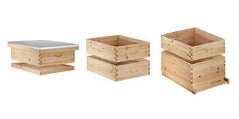 VEVOR 5 Boxes 10-Frame Bee Hive 1 Deep and 4 Medium Box Beehive Frames ...