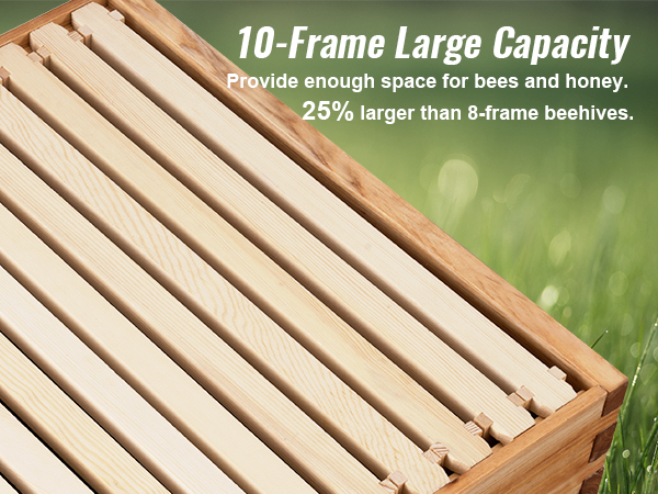 VEVOR Bee Hive, 10-Frame Complete Beehive Kit, 100% Beeswax Natural ...