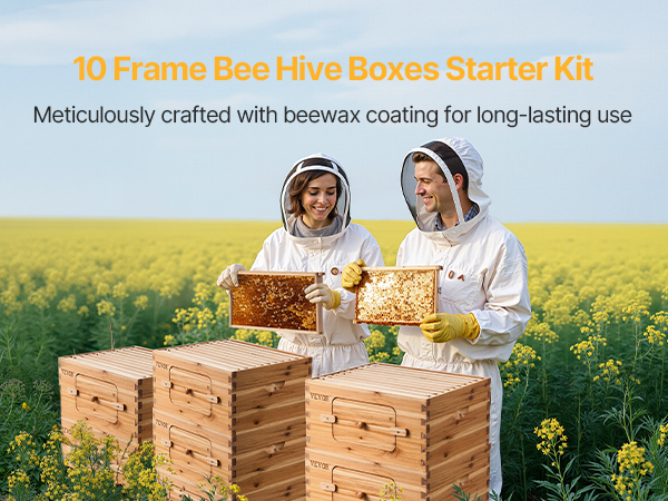 VEVOR Bee Hive 40 Frame Bee Hives Starter Kit, Beeswax Coated Cedar ...