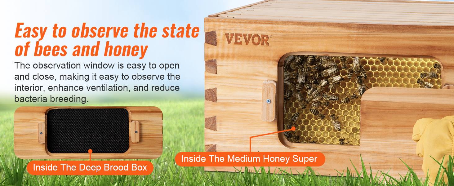 VEVOR Colmena de Abejas, Kit Completo de Colmena de 20 Marcos, Incluye ...