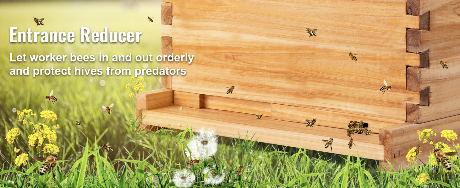 VEVOR Colmena de Abejas, Kit Completo de Colmena de 20 Marcos, Incluye ...