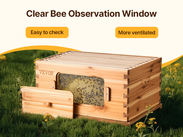 VEVOR Bee Hive Medium Box Starter Kit, 100% Beeswax Coated Natural ...