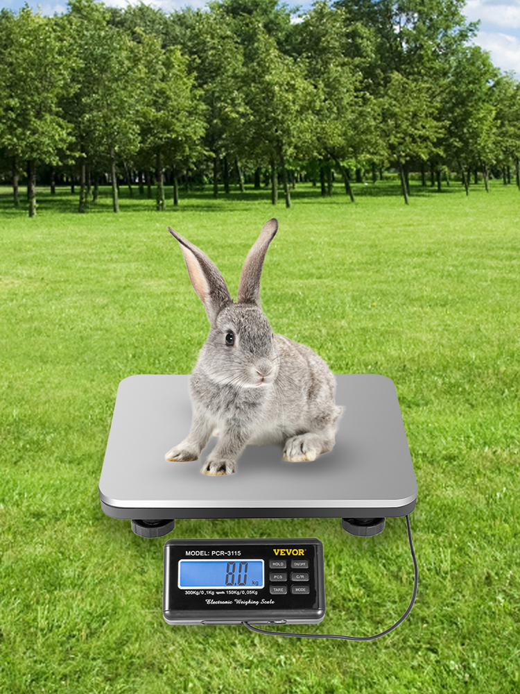 Vevor Postal Scale Postal Weight Scale 660 Lbs/0.1 Kg Stainless Steel W ...