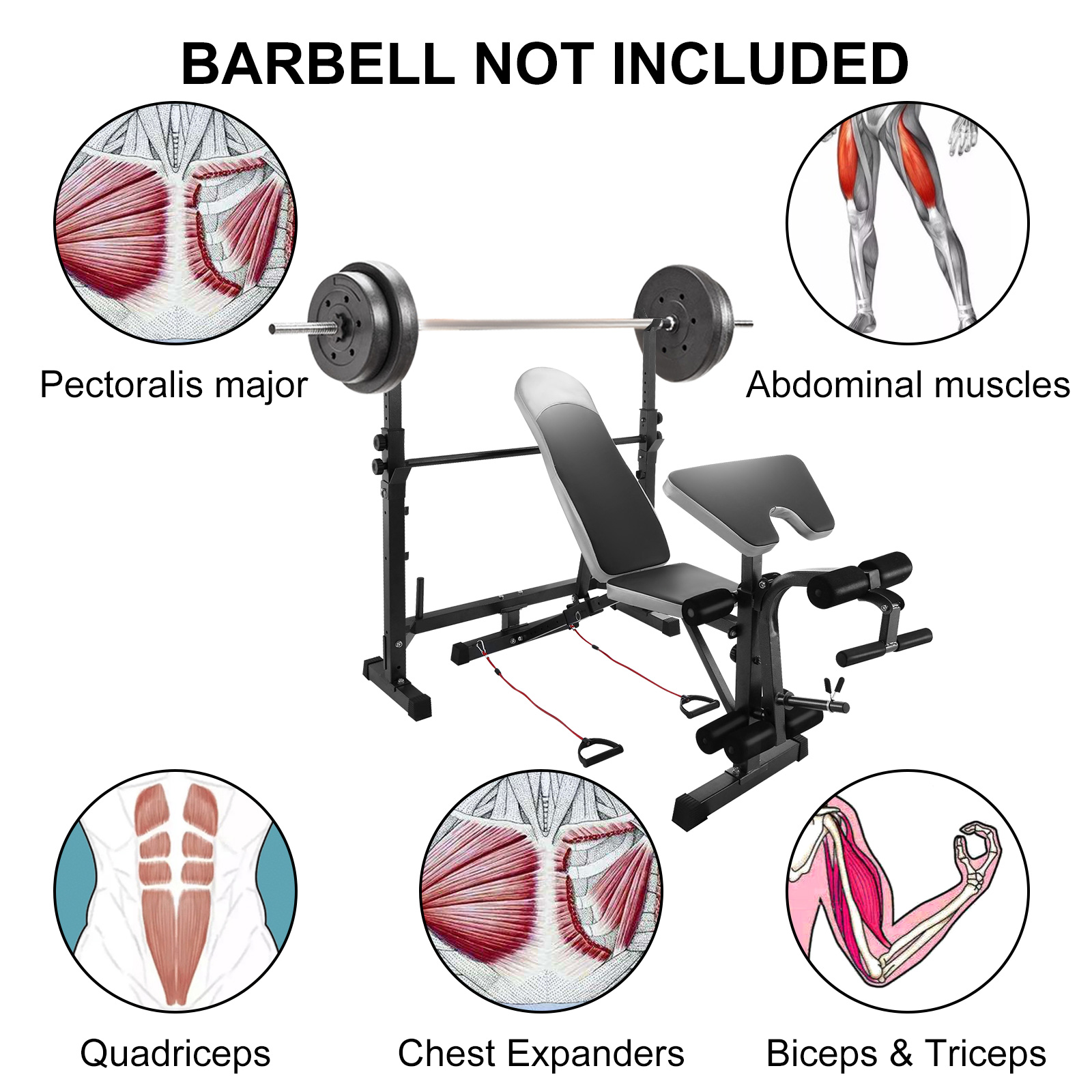 VEVOR Weight Bench 660LBS Weight Lifting Bench Weight Bench Adjustable ...