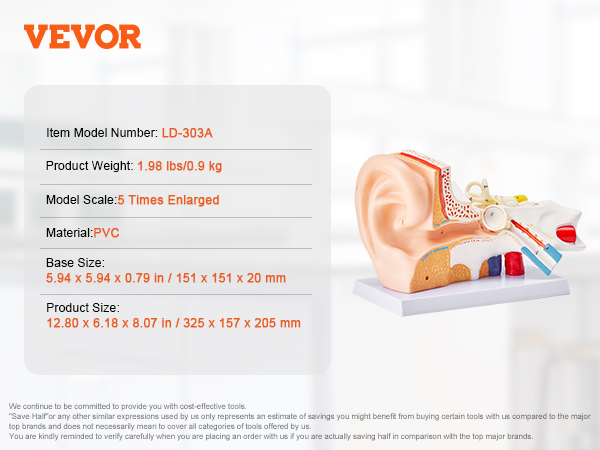 VEVOR Human Ear Anatomy Model, 3 Parts 5 Times Enlarged Human Ear Model ...