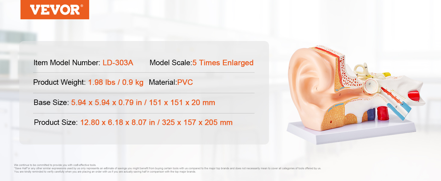 VEVOR Human Ear Anatomy Model, 3 Parts 5 Times Enlarged Human Ear Model ...