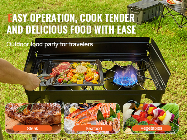 VEVOR Double Burner Outdoor Camping Stove, 60,000-BTU Camping Modular ...