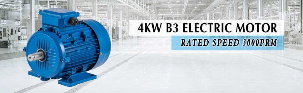 Electric Motor 3phase 3000 Rpm 4kw Diameter 19mm Pro On Industry Supply ...