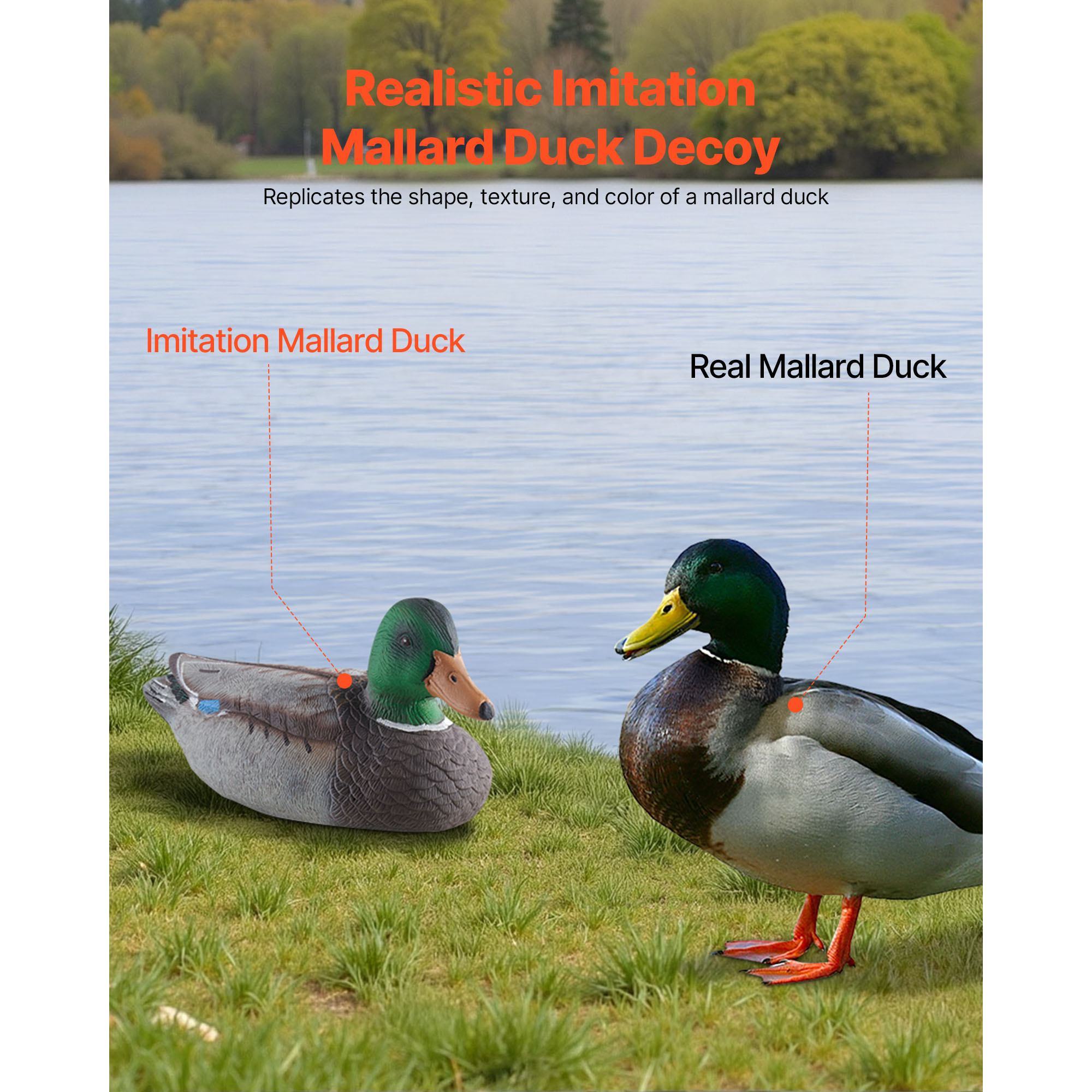 Mophorn Realistic Floating Duck Decoys, Durable Plastic Design for ...