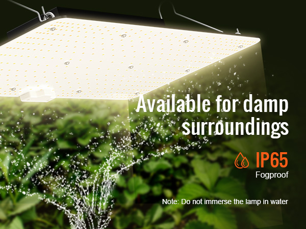 VEVOR 200W LED Grow Light, Samsung 281B+PRO Chips for Indoor Plants ...