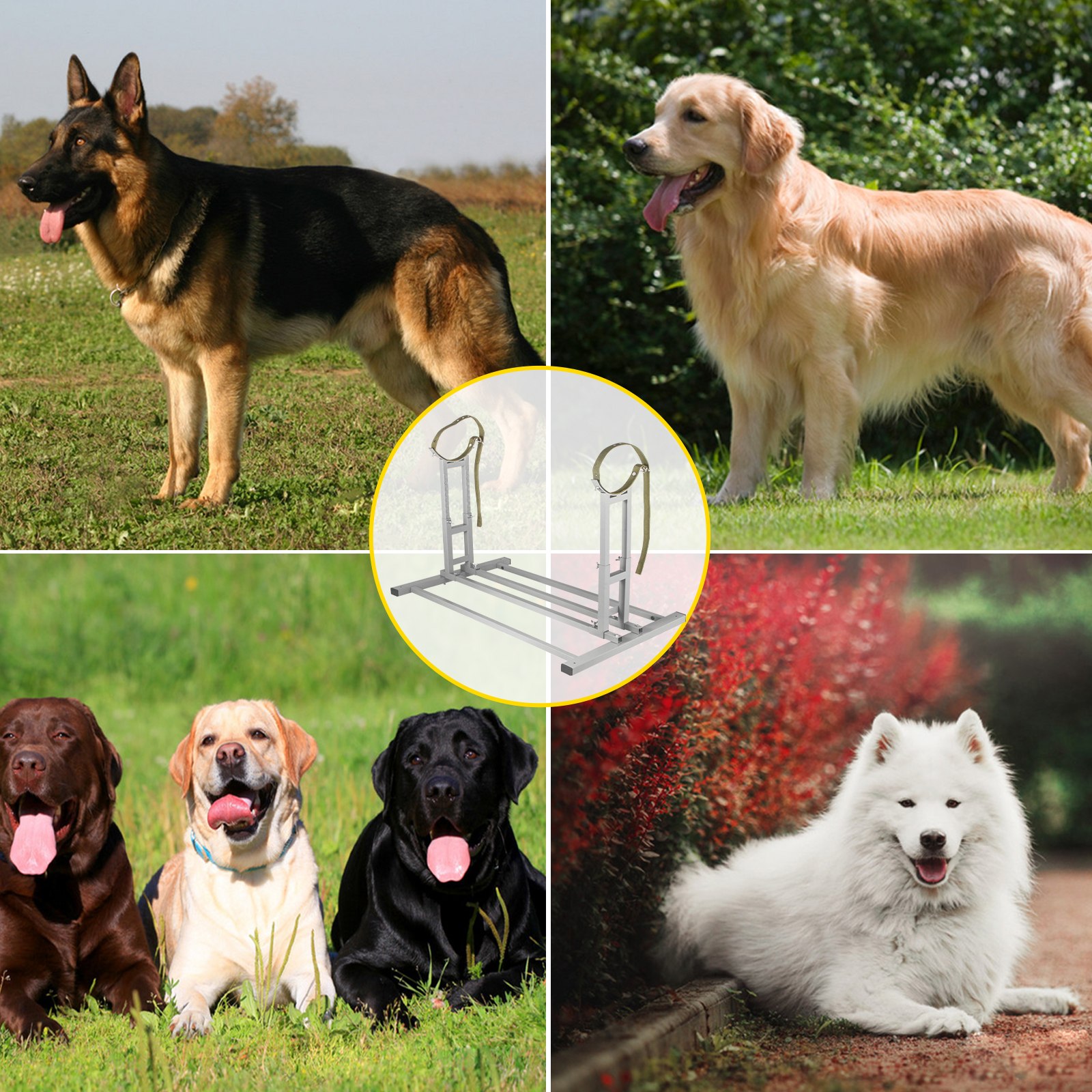 Vevor Dog Breeding Stand Pet Grooming Large Adjustable Metal Pets ...