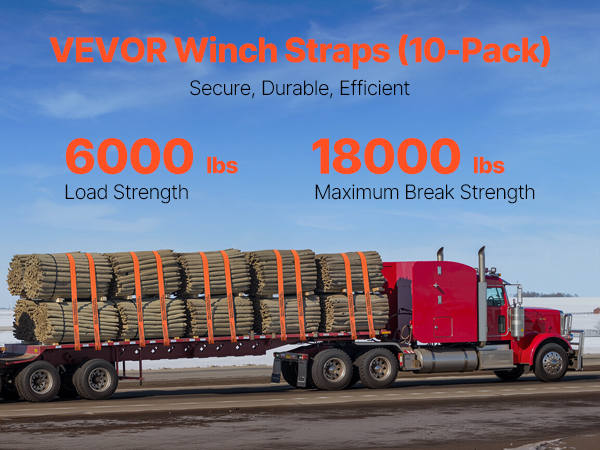 Winch Straps Truck Straps 4 in x 30 ft with Flat Hook for Towing 10 ...