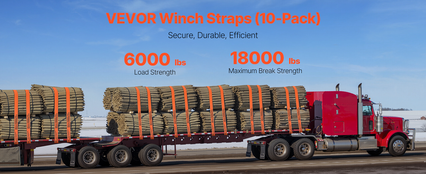 Winch Straps Truck Straps 4 in x 30 ft with Flat Hook for Towing 10 ...