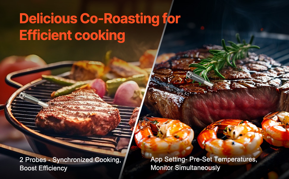 VEVOR Wireless Meat Thermometer Bluetooth Meat Probe Two Probes for ...