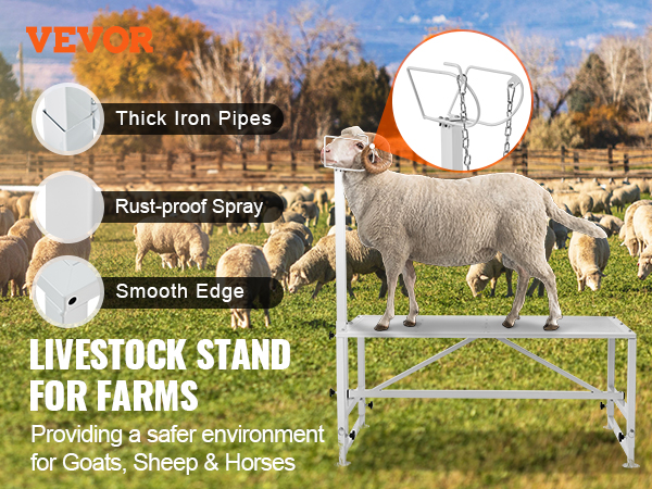 VEVOR Goat & Sheep Stand, 47x23 inch Livestock Stand, Metal Livestock ...