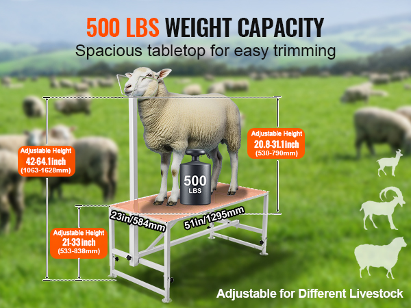 VEVOR Goat & Sheep Stand, 51x23 inch Livestock Stand, Metal Livestock ...