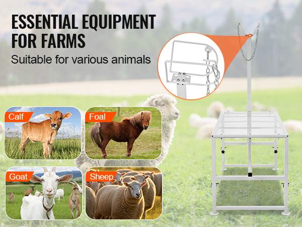 VEVOR Goat & Sheep Stand, 51x23 inch Livestock Stand, Metal Livestock Milking and Shearing Stand ...