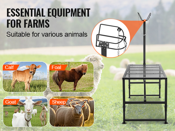 VEVOR Goat & Sheep Stand, 51x23 inch Livestock Stand, Metal Livestock ...