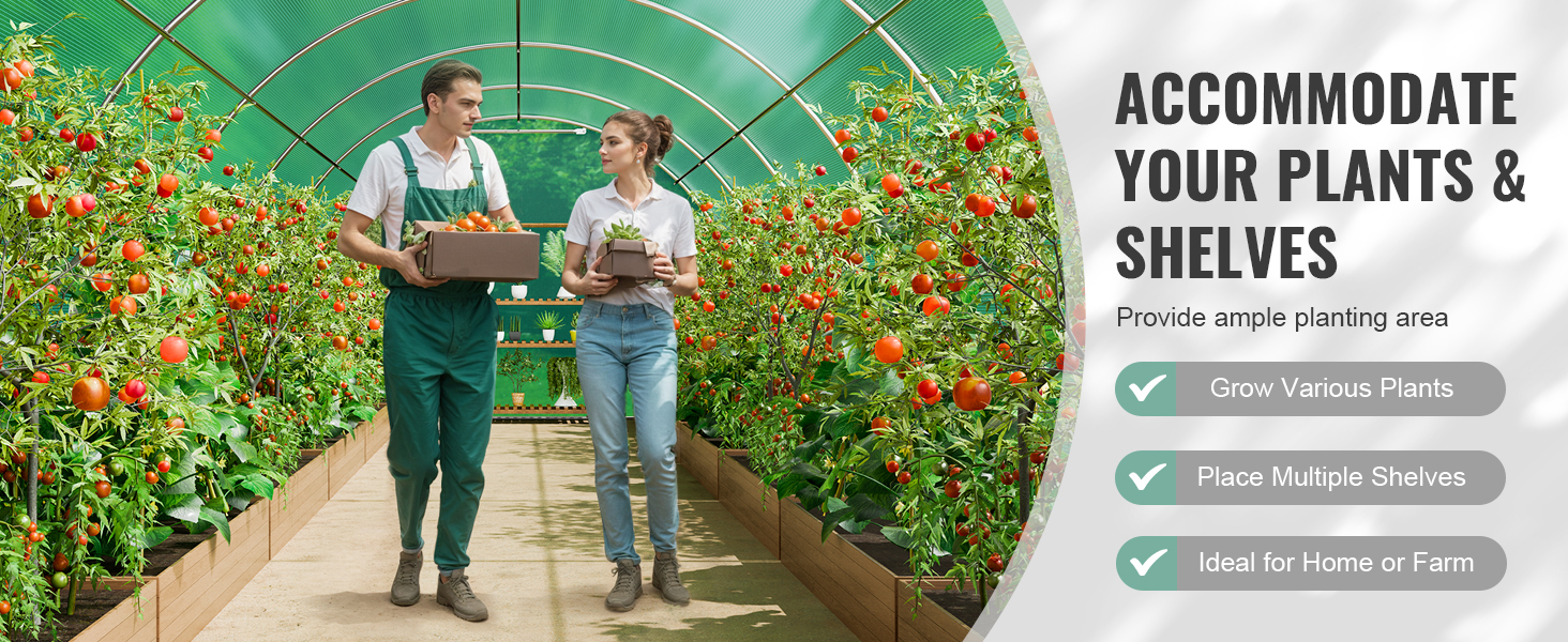 VEVOR Walk-in Tunnel Greenhouse 29.2x9.7x6.5ft Galvanized Frame PE ...