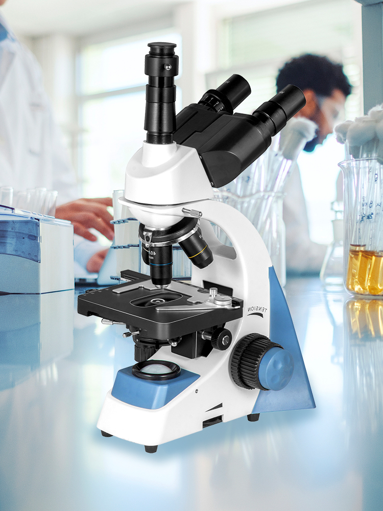 Vevor Trinocular Compound Microscope Compound Light Microscope 40x ...