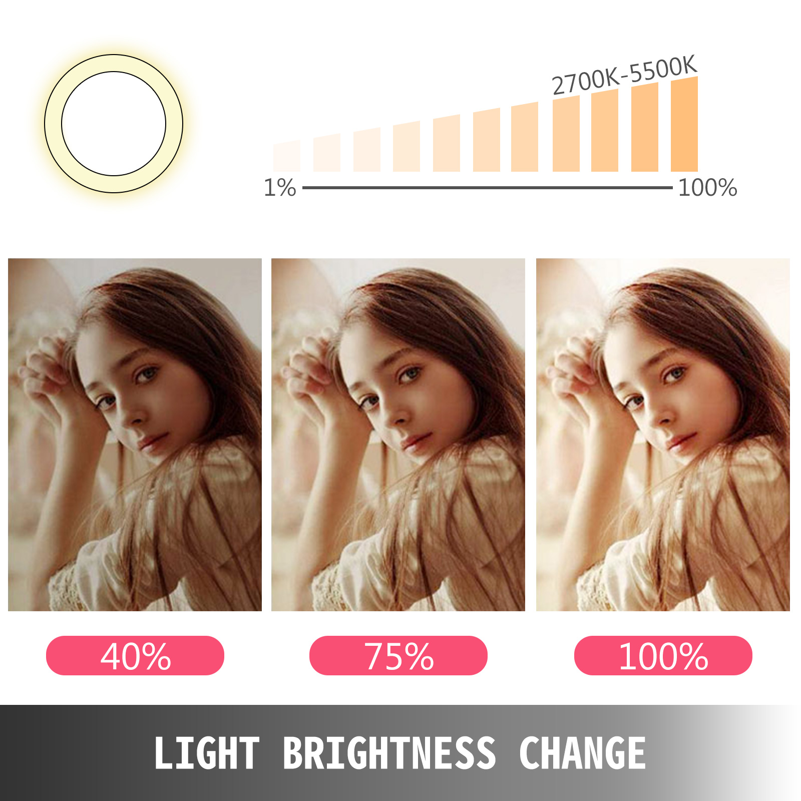 19" Dimmable LED Ring Light Diffuser 2700K-5500K W/ Adjustable Stand ...