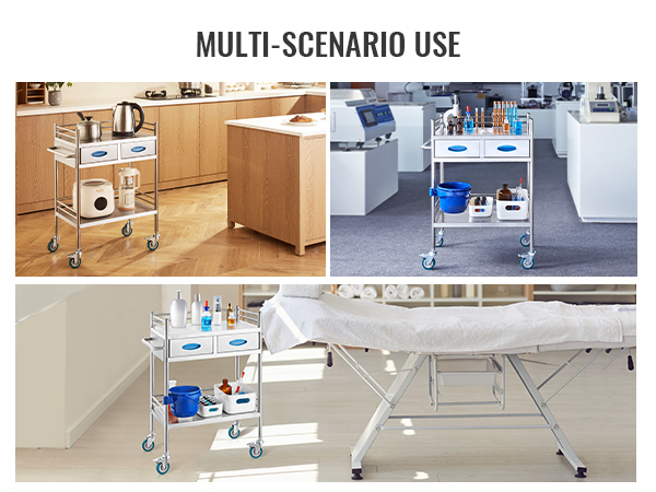 VEVOR Lab Serving Cart, 2 Layers Stainless Steel Utility Rolling Cart ...