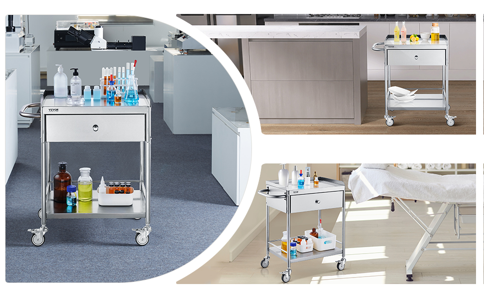VEVOR Medical Cart, 2-Layer Stainless Steel Cart 220 lbs Weight ...