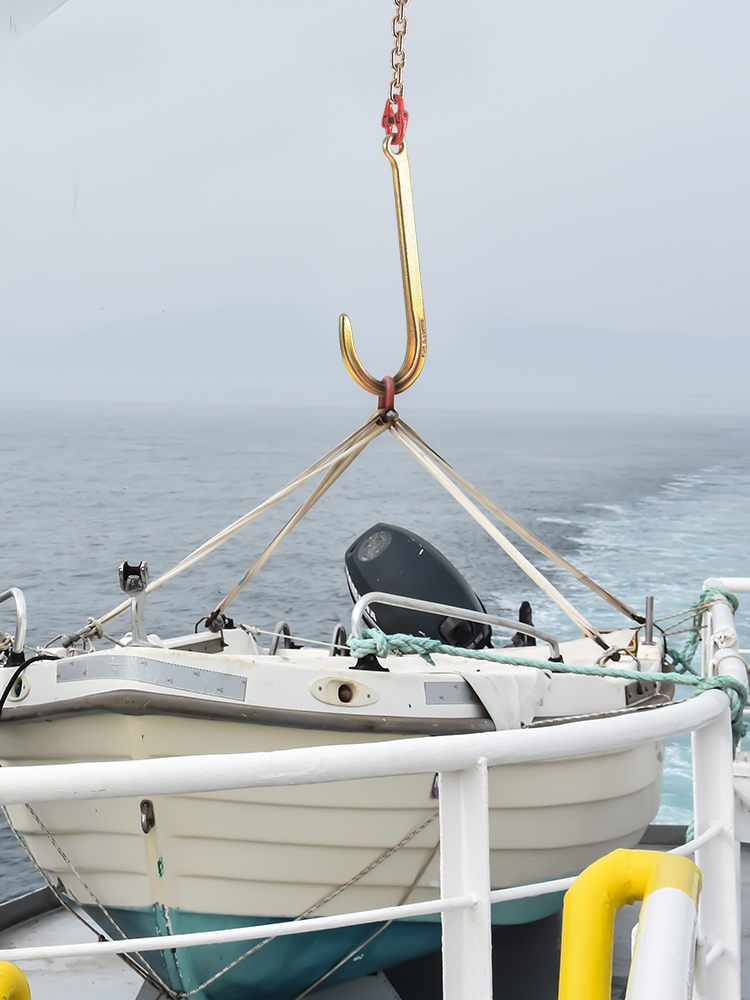 VEVOR J Hook Chain, 5/16 in x 8 ft Tow Chain Bridle, Grade 80 J Hook ...