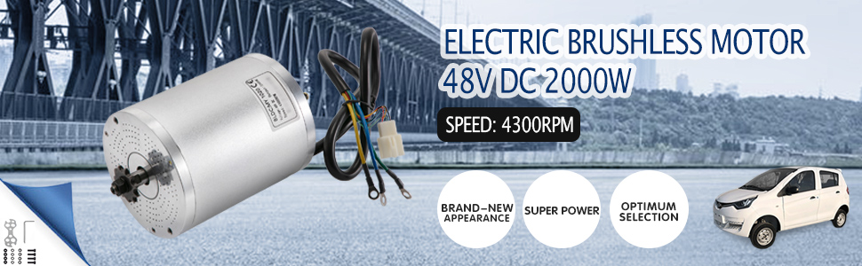 48V DC Motor Brushless Electric Motor 2000W BLDC motorcycle Go-kart ...