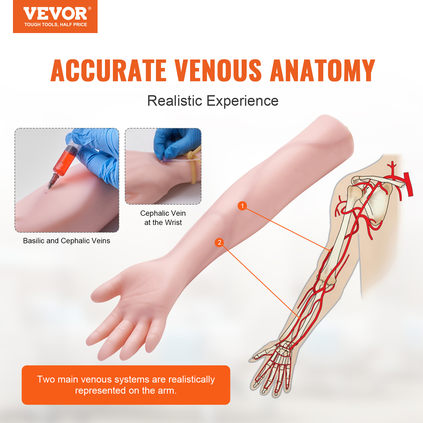 VEVOR IV Practice Kit Phlebotomy Venipuncture Practice Arm for Students ...