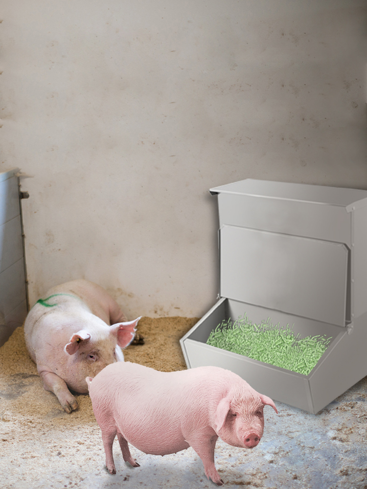 Vevor Hog Feeder Pig Feeders 100 Lbs Double Door Swine Trough With Hog ...