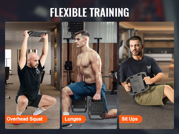 VEVOR Cast Iron Ruck Weights for Rucking Weight Plate with Handle 10LB ...