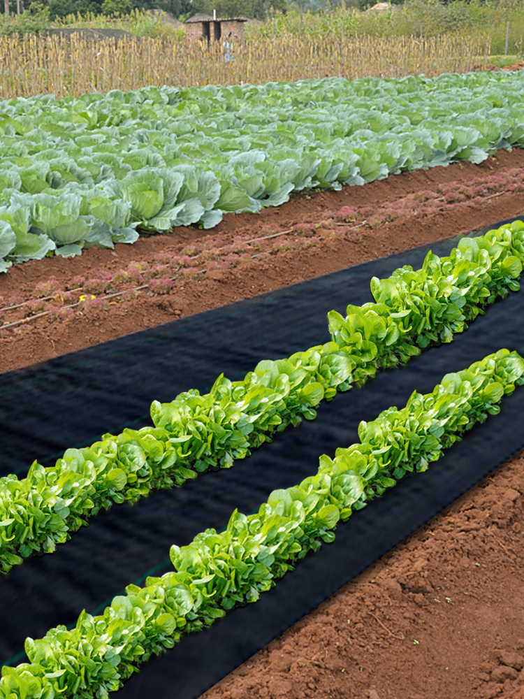 VEVOR Weed Barrier Landscape Fabric Geotextile Underlayment 4 x 250 FT ...